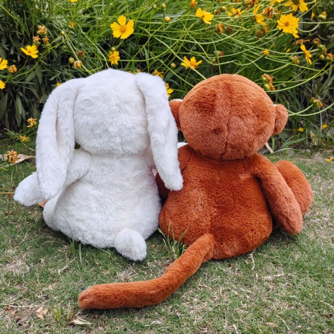 Welcome to the World of Weighted Teddys: Companions for Every Child ...